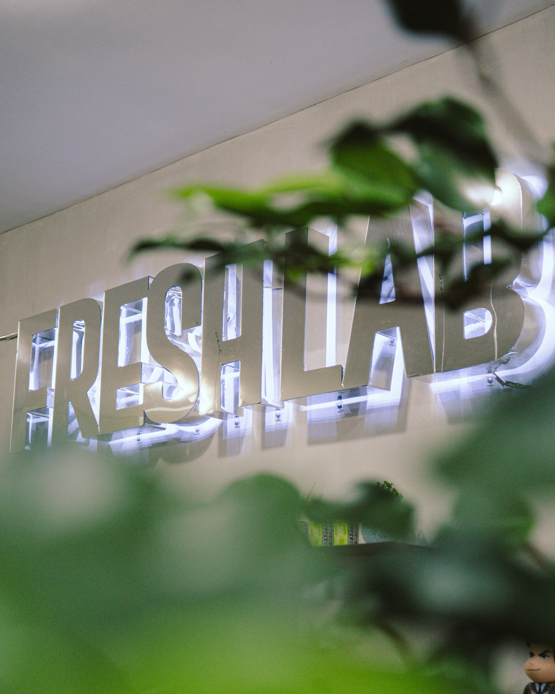Fresh Lab